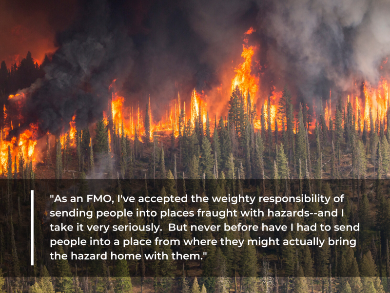 The American Wildfire Experience